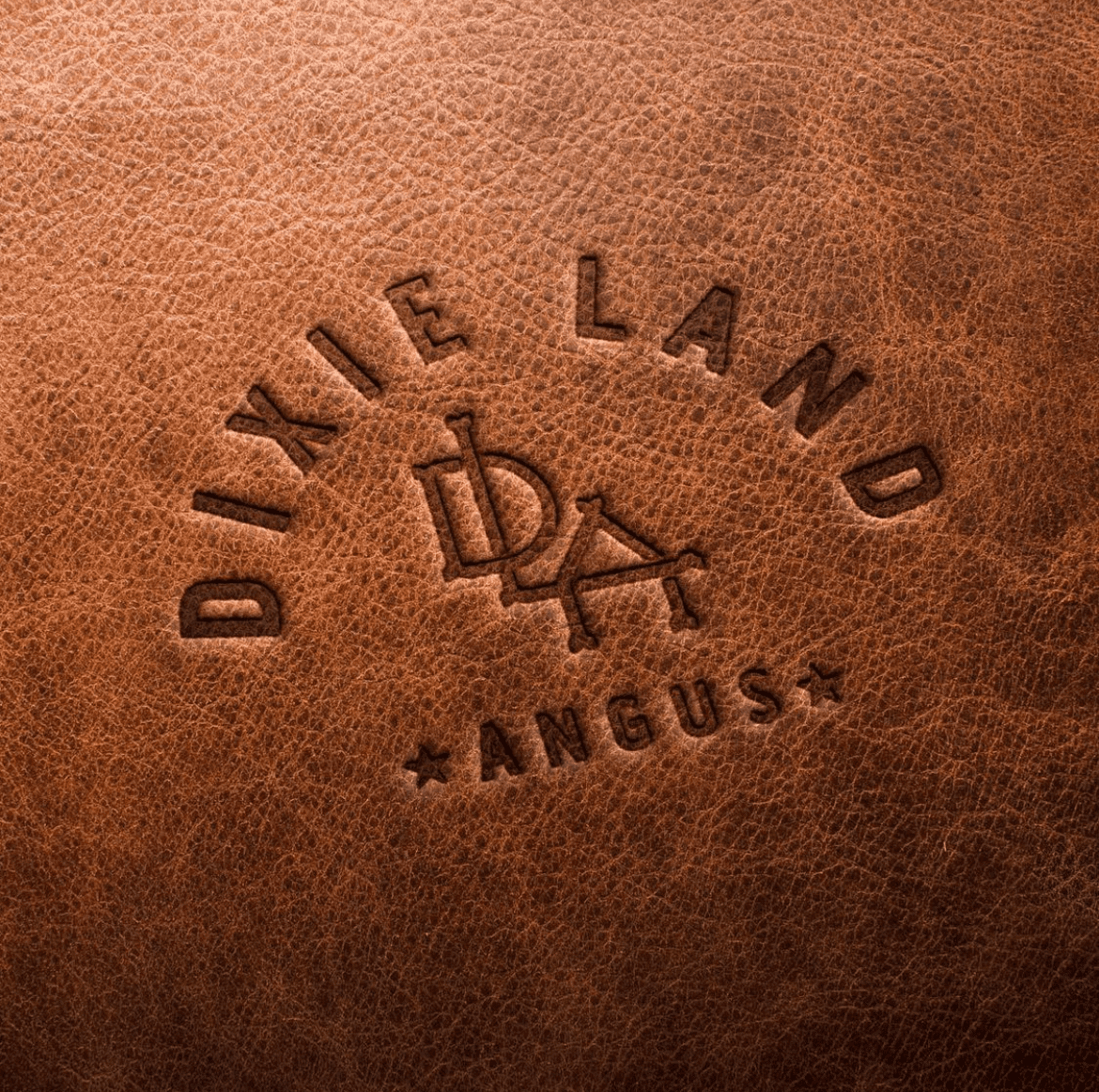 Dixie Land Angus Logo Design | Arrowhead Design Group